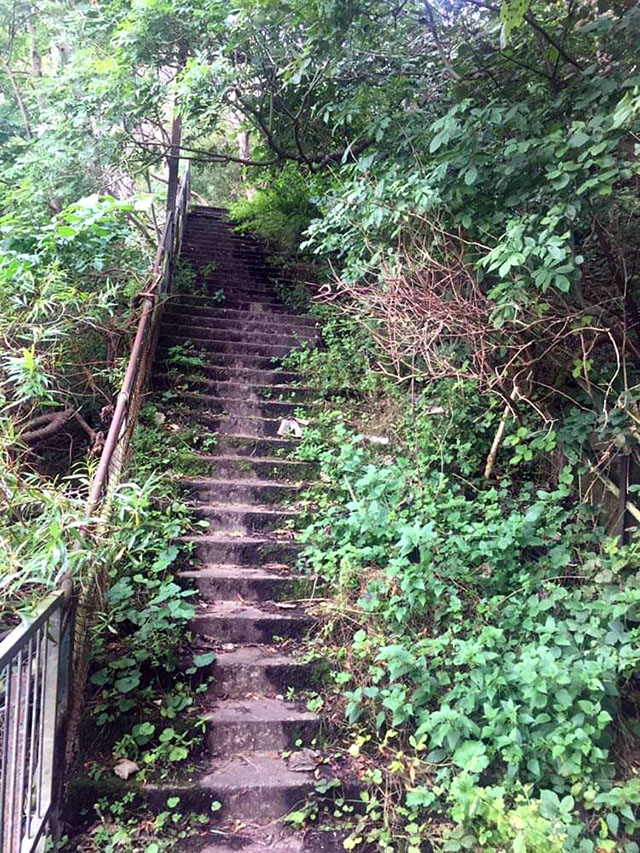 The Reconstruction of Jacob’s Ladder – Woodside